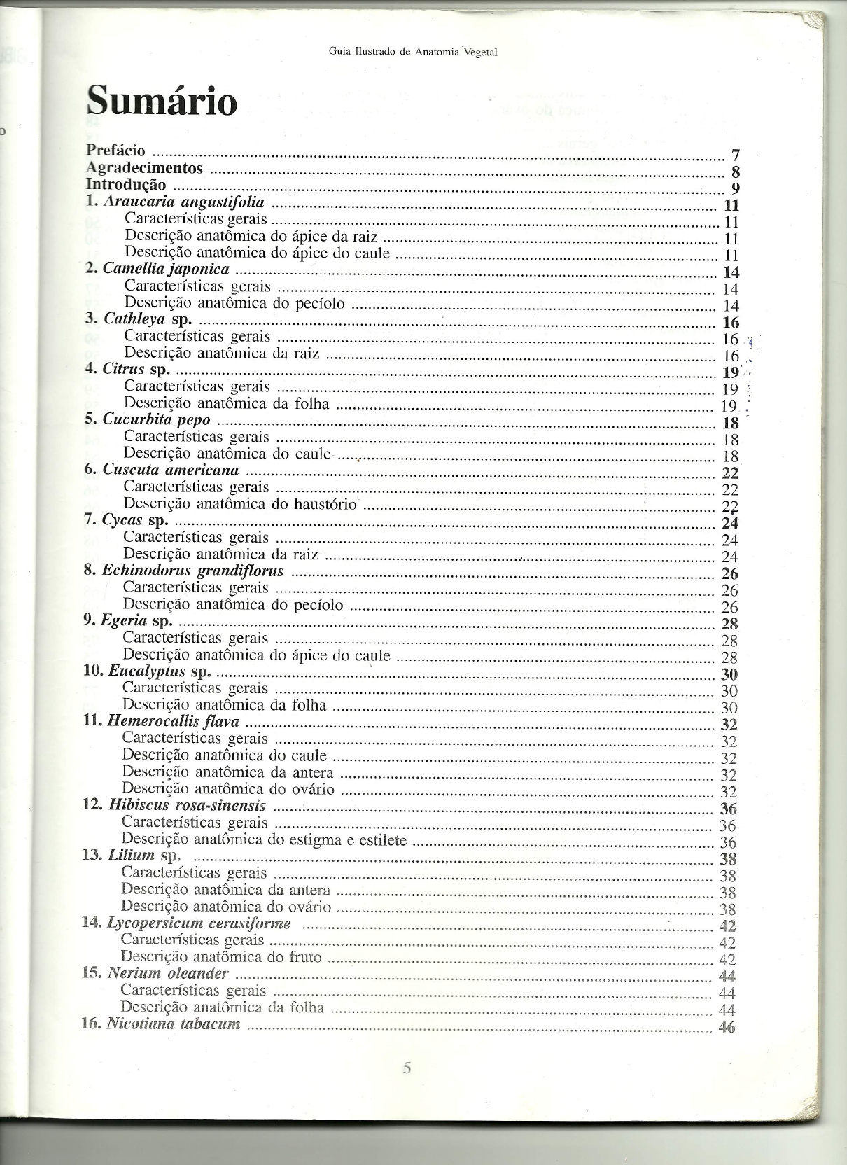 Guia Ilustrado de Anatomia Vegetal Cleusa Bona et. al - Morfologia Vegetal