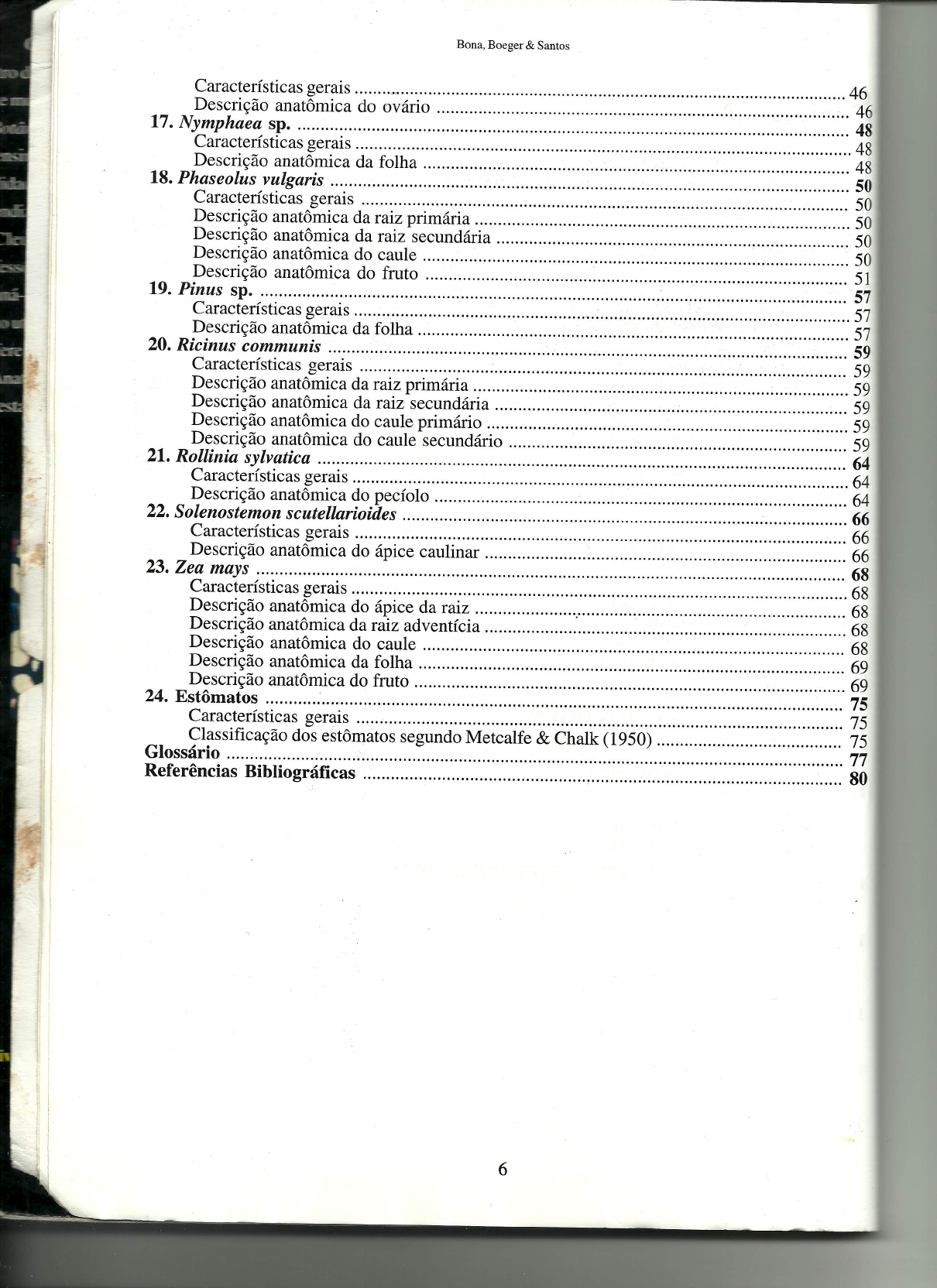 Guia Ilustrado de Anatomia Vegetal Cleusa Bona et. al - Morfologia Vegetal