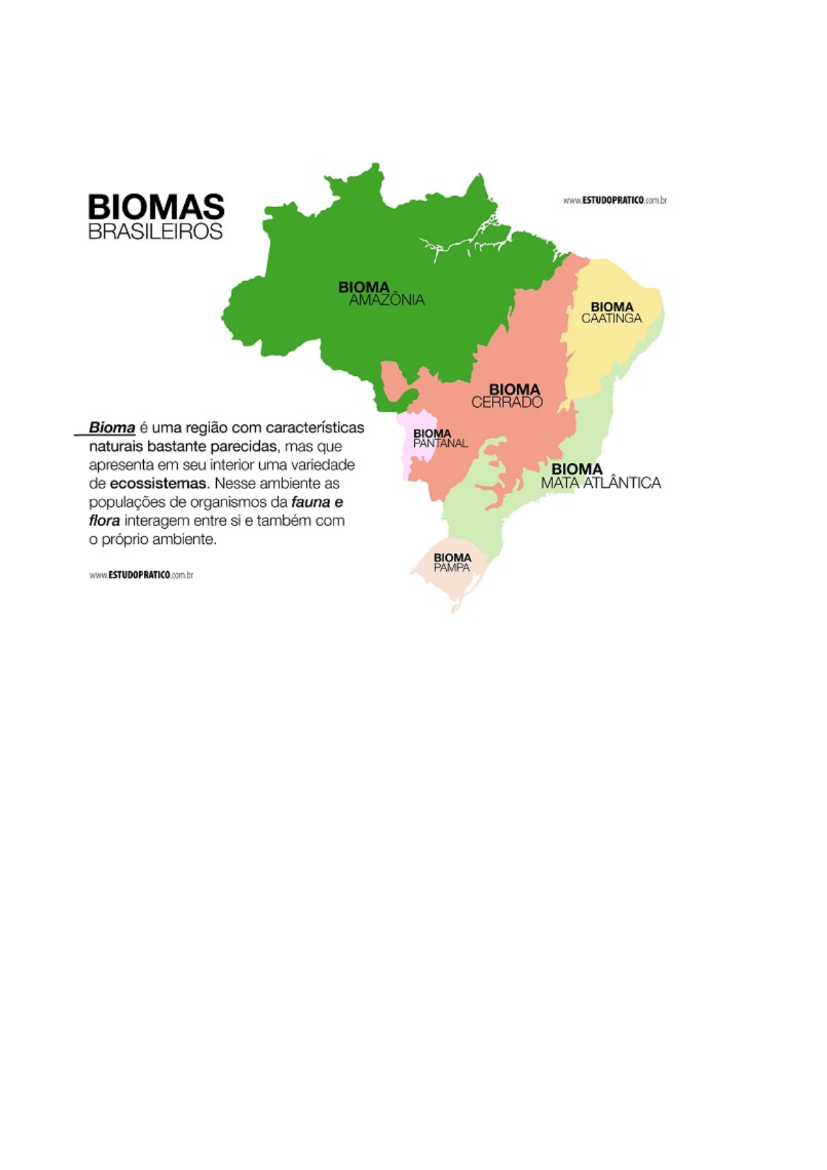 Biomas Brasileiros Resumo Mapa Quais So Tipos Fauna E Flora
