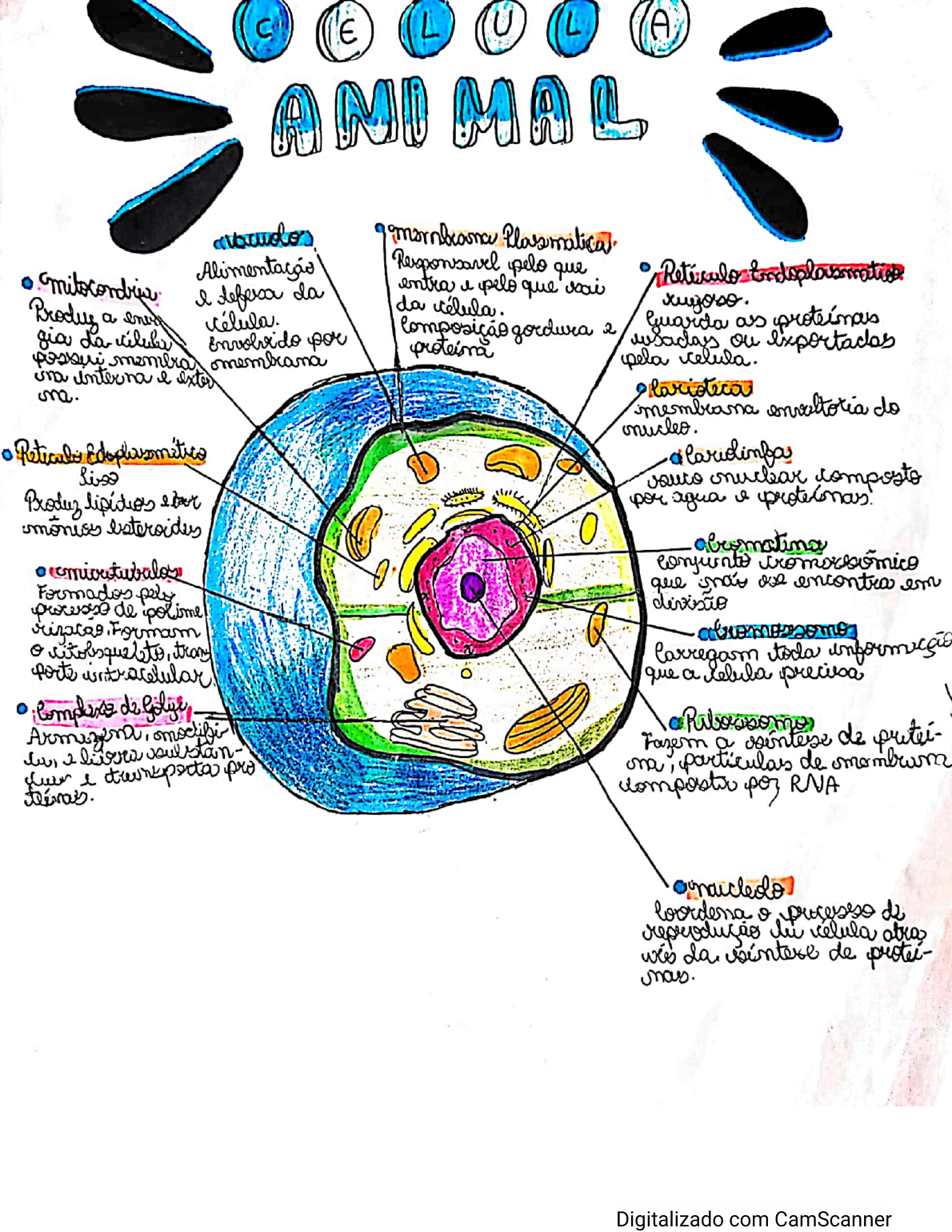 celula animal - Bioquímica I