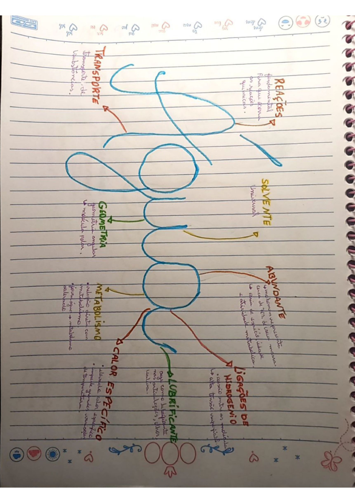Mapa Mental- Água, Carboidratos, Proteínas, Lipídeos - Nutrição Mapa Mental- Água, Carboidratos, Proteínas, Lipídeos - Nutrição