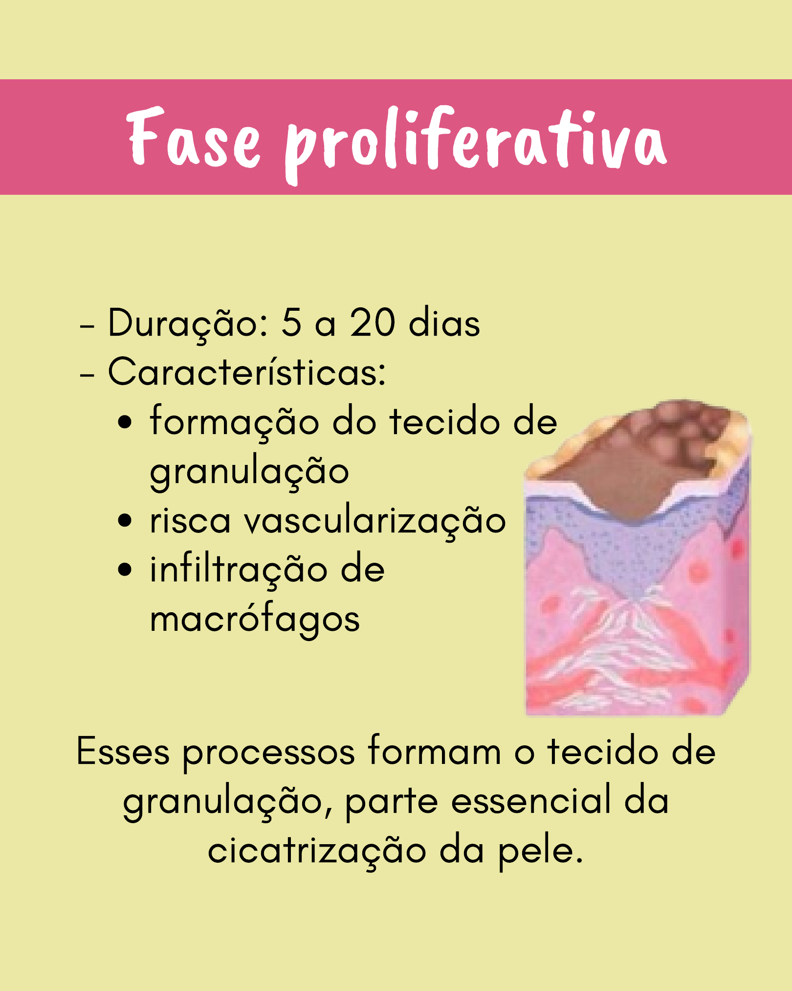 Etapas De Cicatrizacao De Feridas Entenda As Fases De Cicatrização