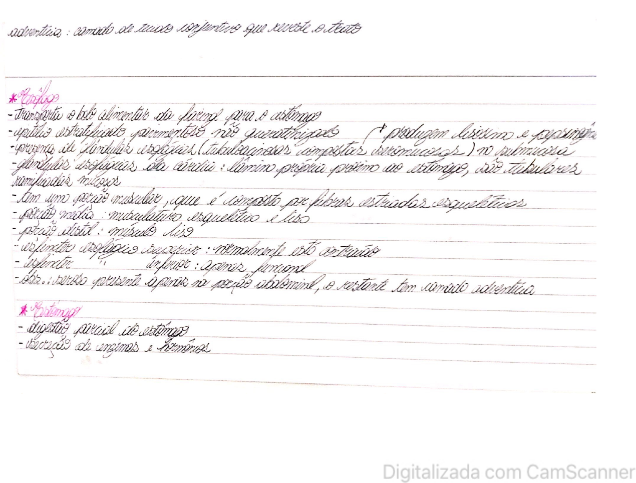 Histologia da Cavidade oral, Faringe e E - Histologia I Histologia da Cavidade oral, Faringe e E - Histologia I