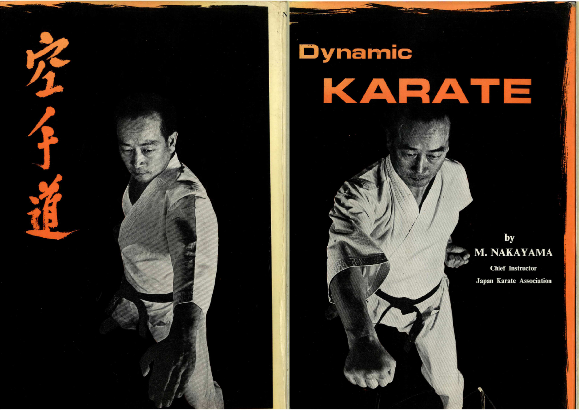 Nakayama Logo