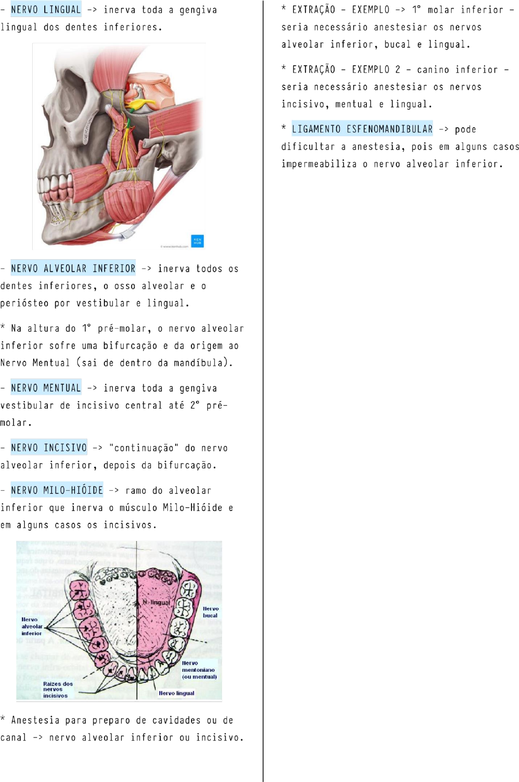 Resumo de Nervo Trigêmeo 2 - Anatomia de Cabeça e Pescoço