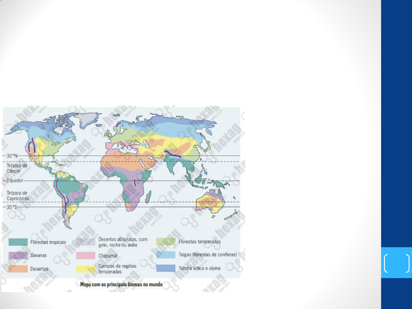 Grandes biomas do mundo - Geografia Física