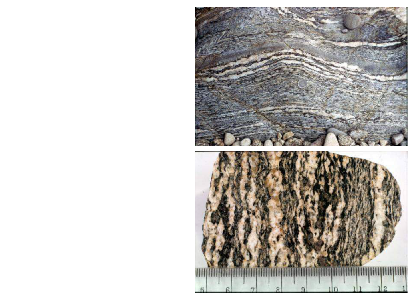 2018-GMG332-reconhecendo migmatitos-ex-compressed - Petrologia Ignea