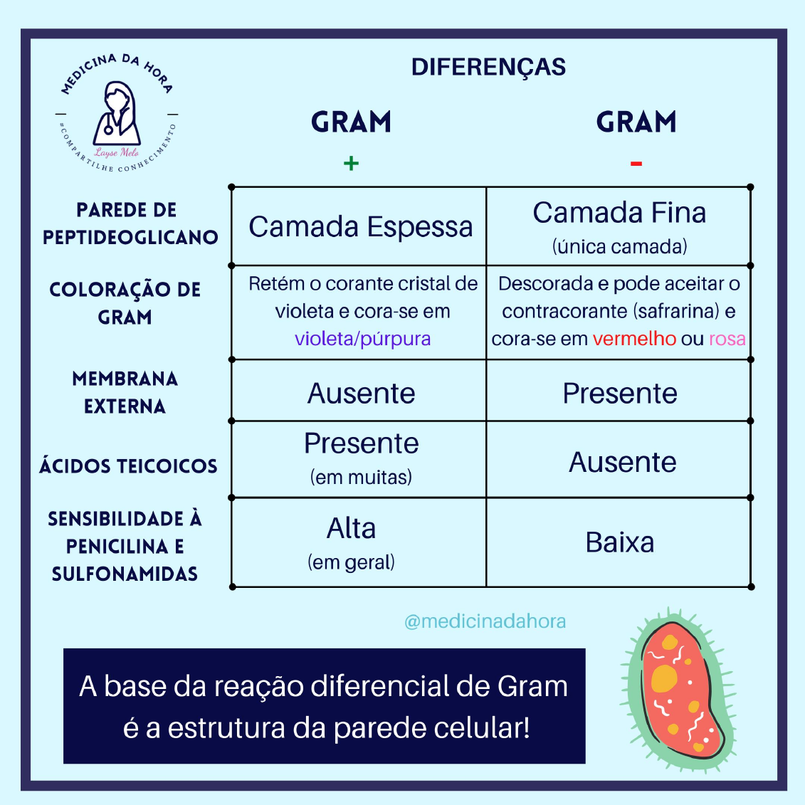 Bactérias Gram positivas e negativas diferenças - Microbiologia