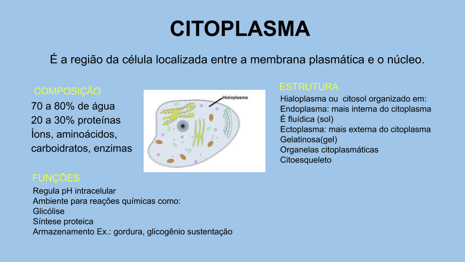 Resumo citoplasma - Biologia
