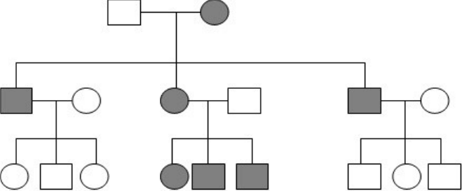 Resumo MERRF - Hematologia