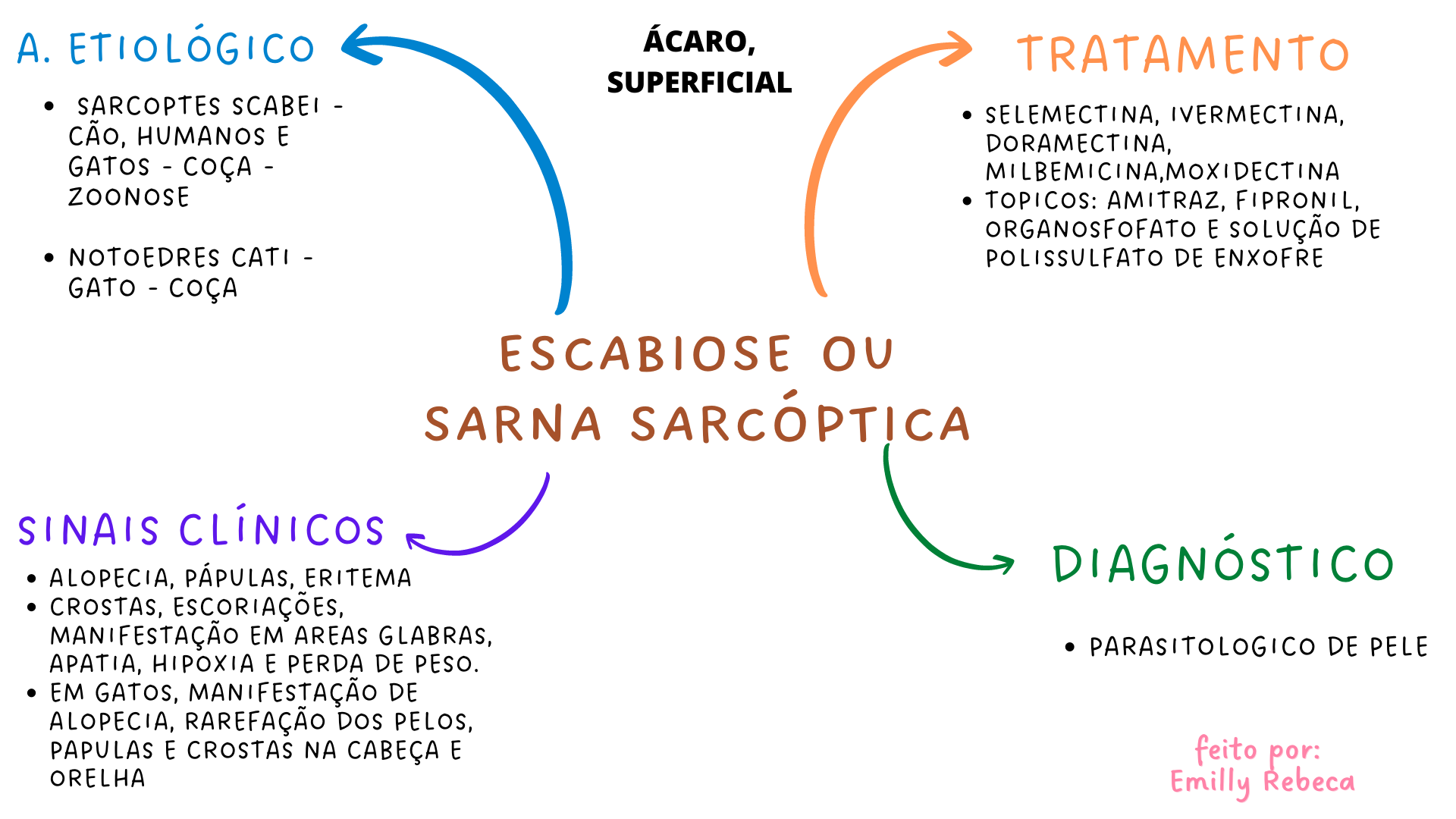 ESCABIOSE OU SARNA SARCÓPTICA - Clinica de Pequenos II