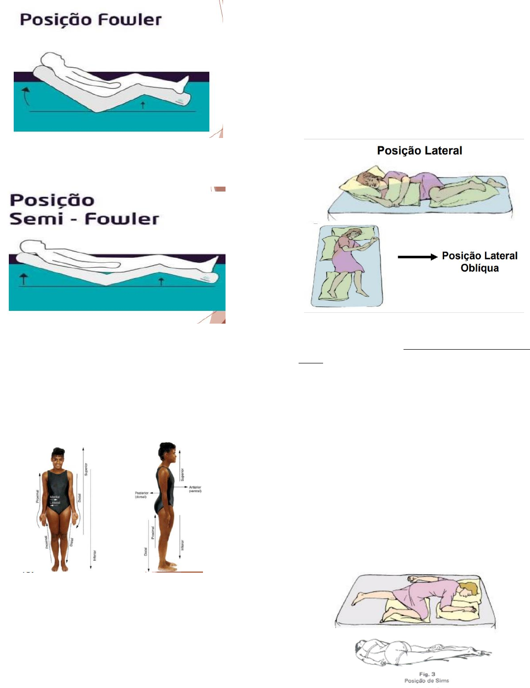 Graus De Posicao De Fowlers Cama Hospitalar Fowler Trendelemburg Linha