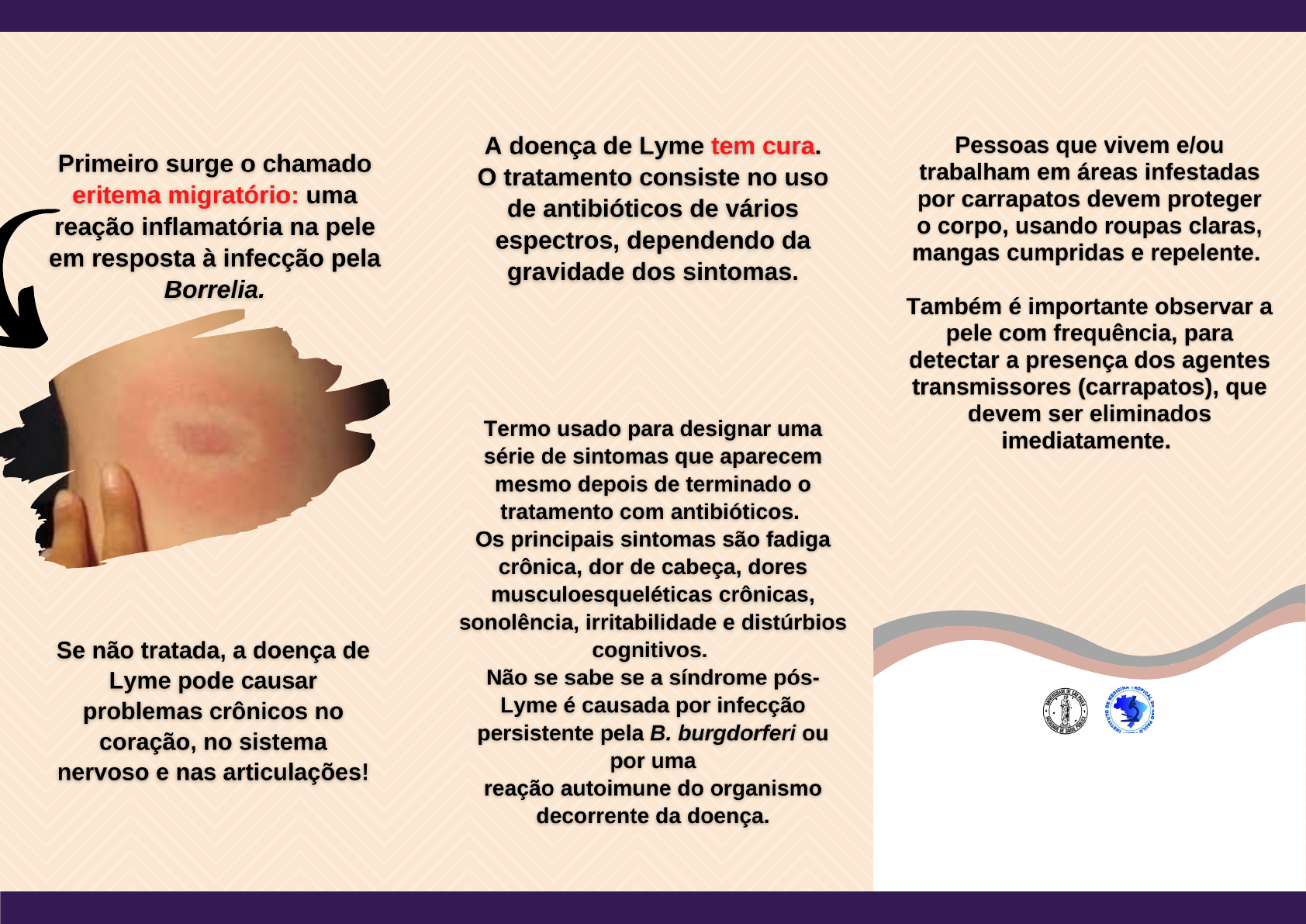Sintomas Da Doenca De Lyme