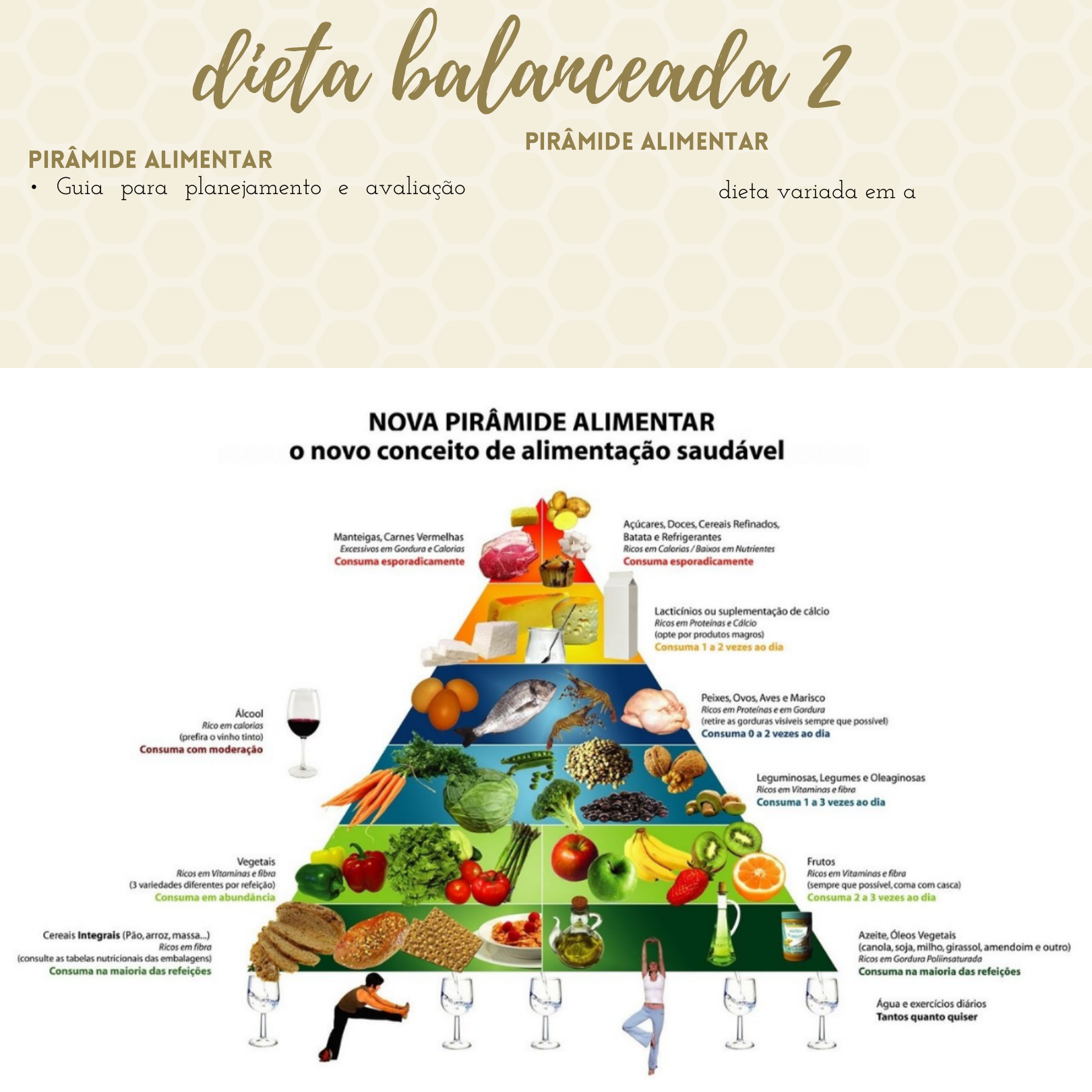 Piramide Alimentar Com Rotulos