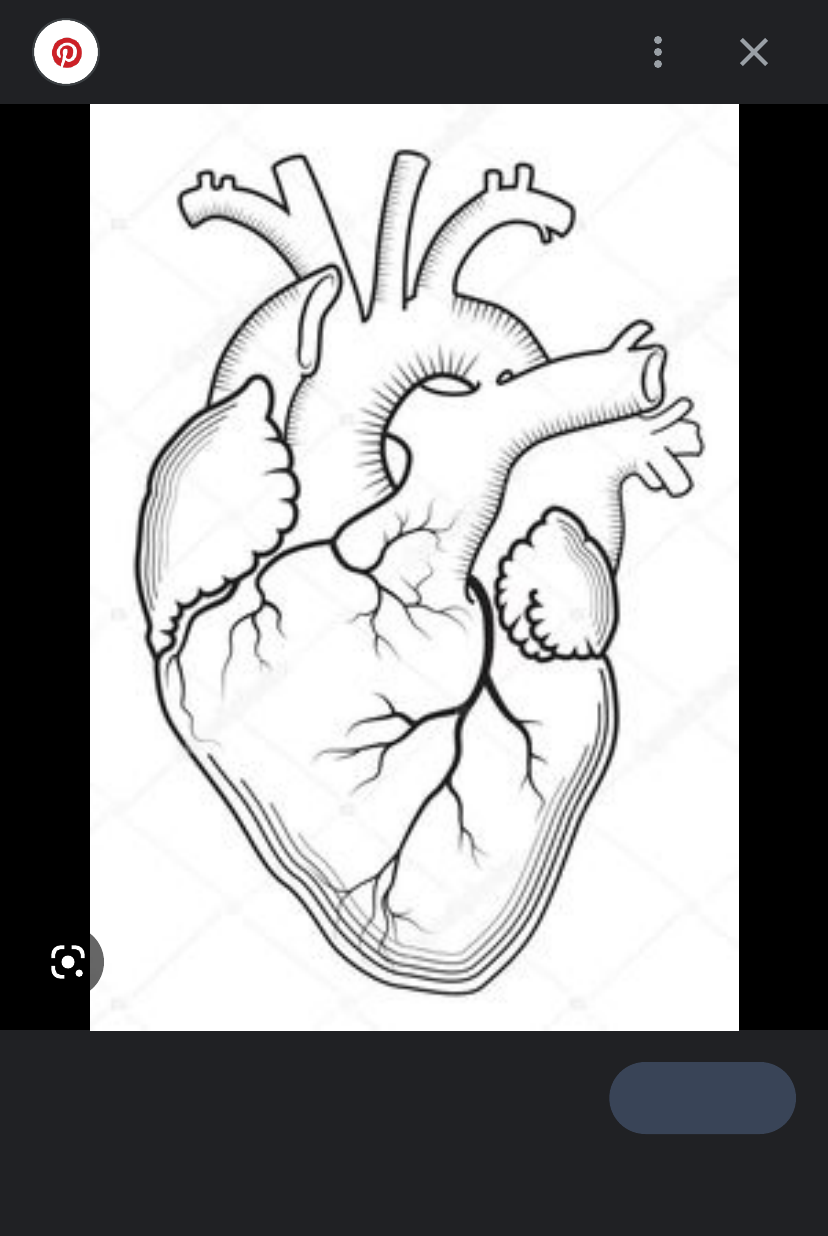 How to Draw the Google Logo