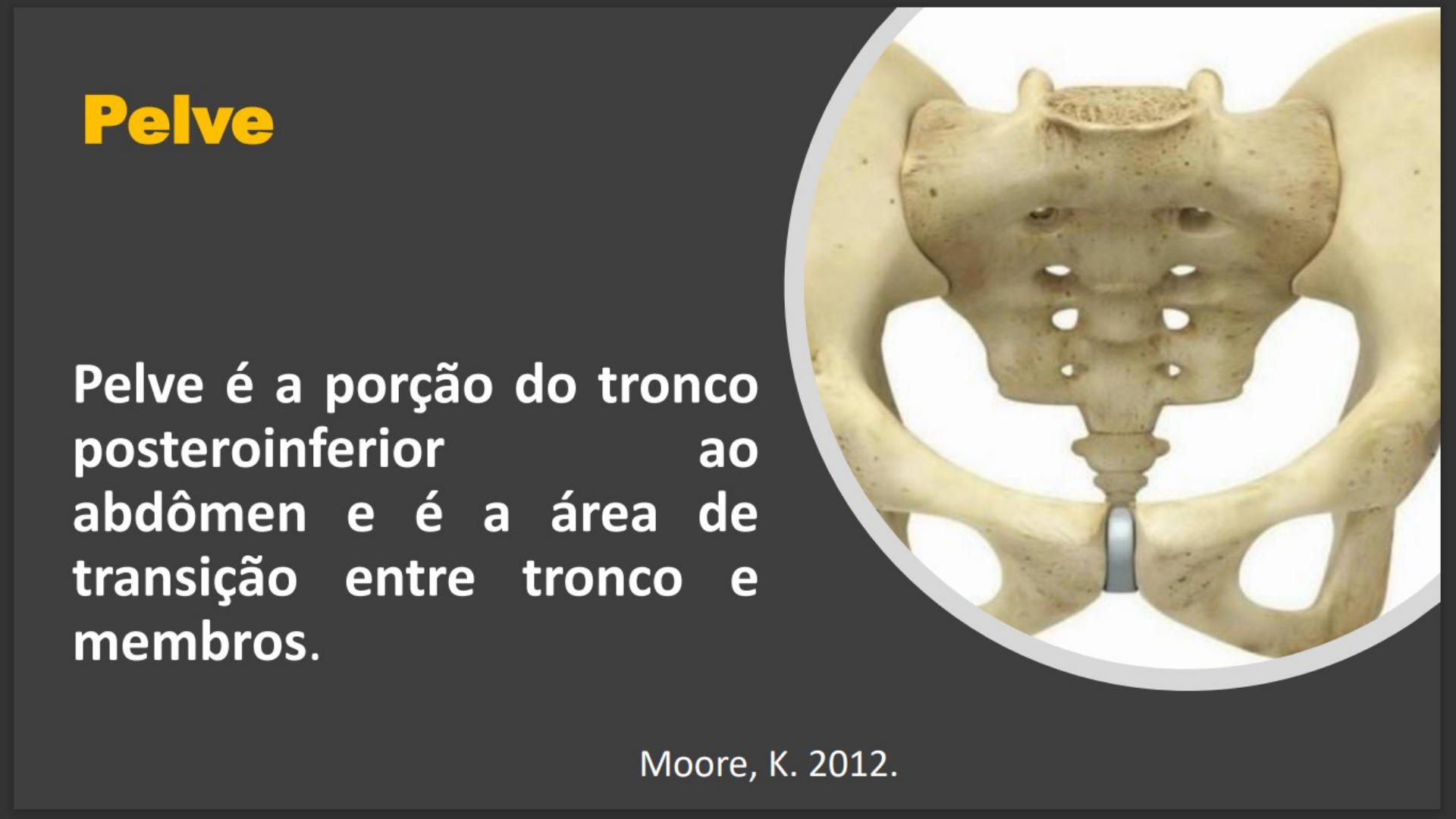 ANATOMIA PELVE FEMENINA - Saúde da Mulher