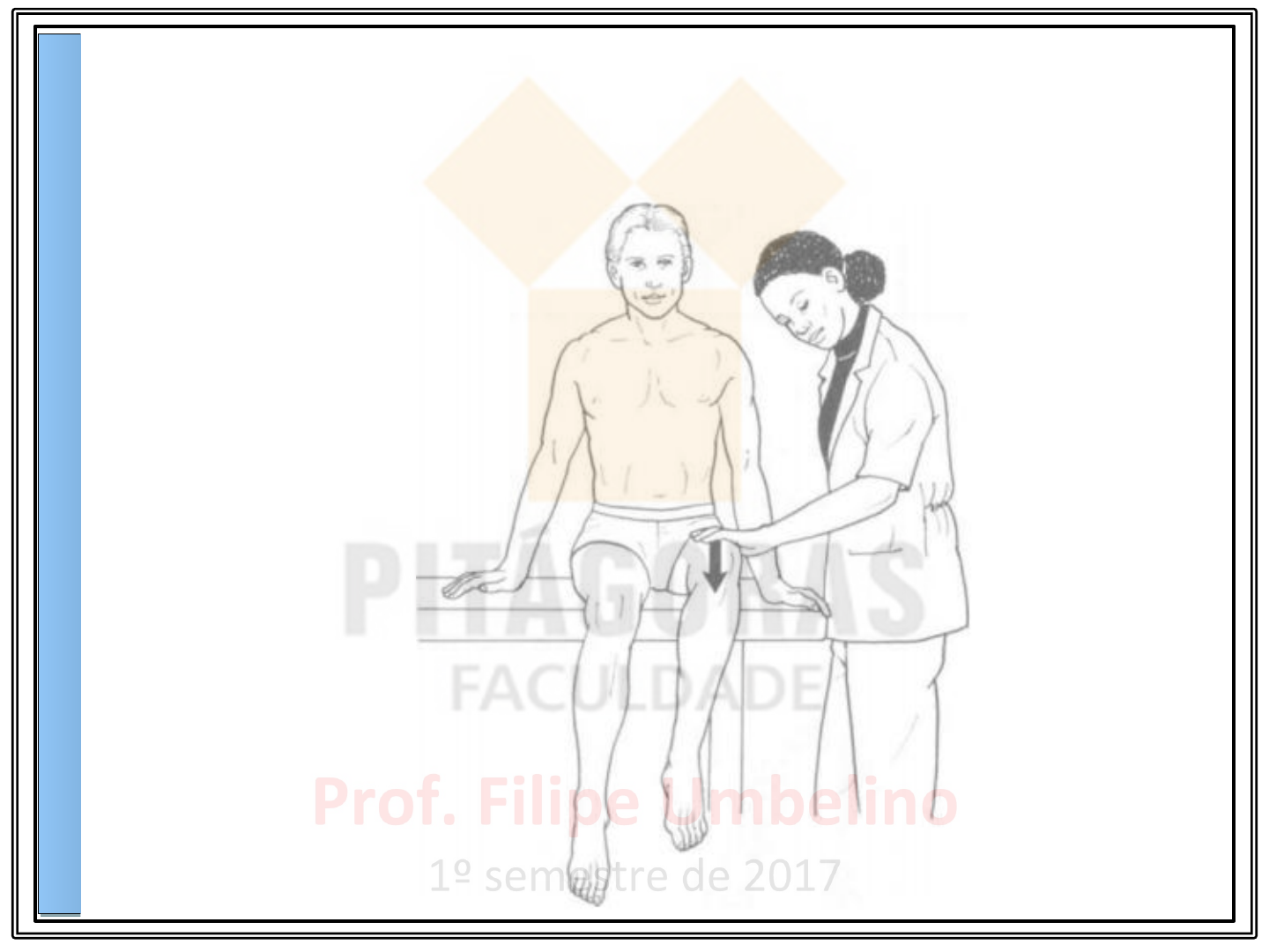 02 Testes manuais de força muscular (MMII) - Fisioterapia