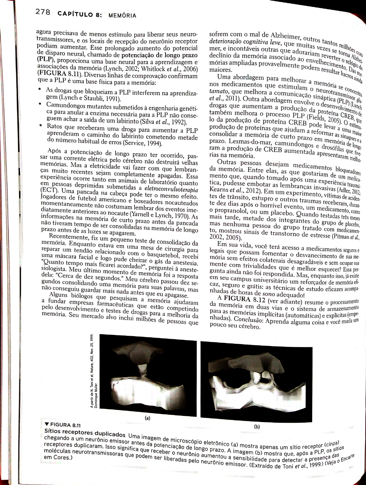 Codificacao Da Psicologia Da Memoria