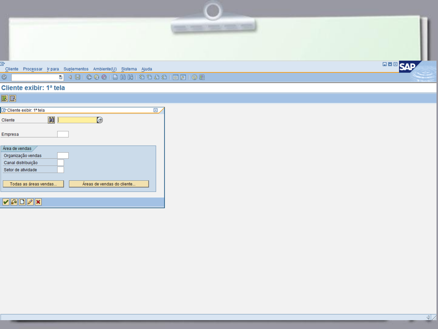 Telas SAP - Modulo SD-3 - Física