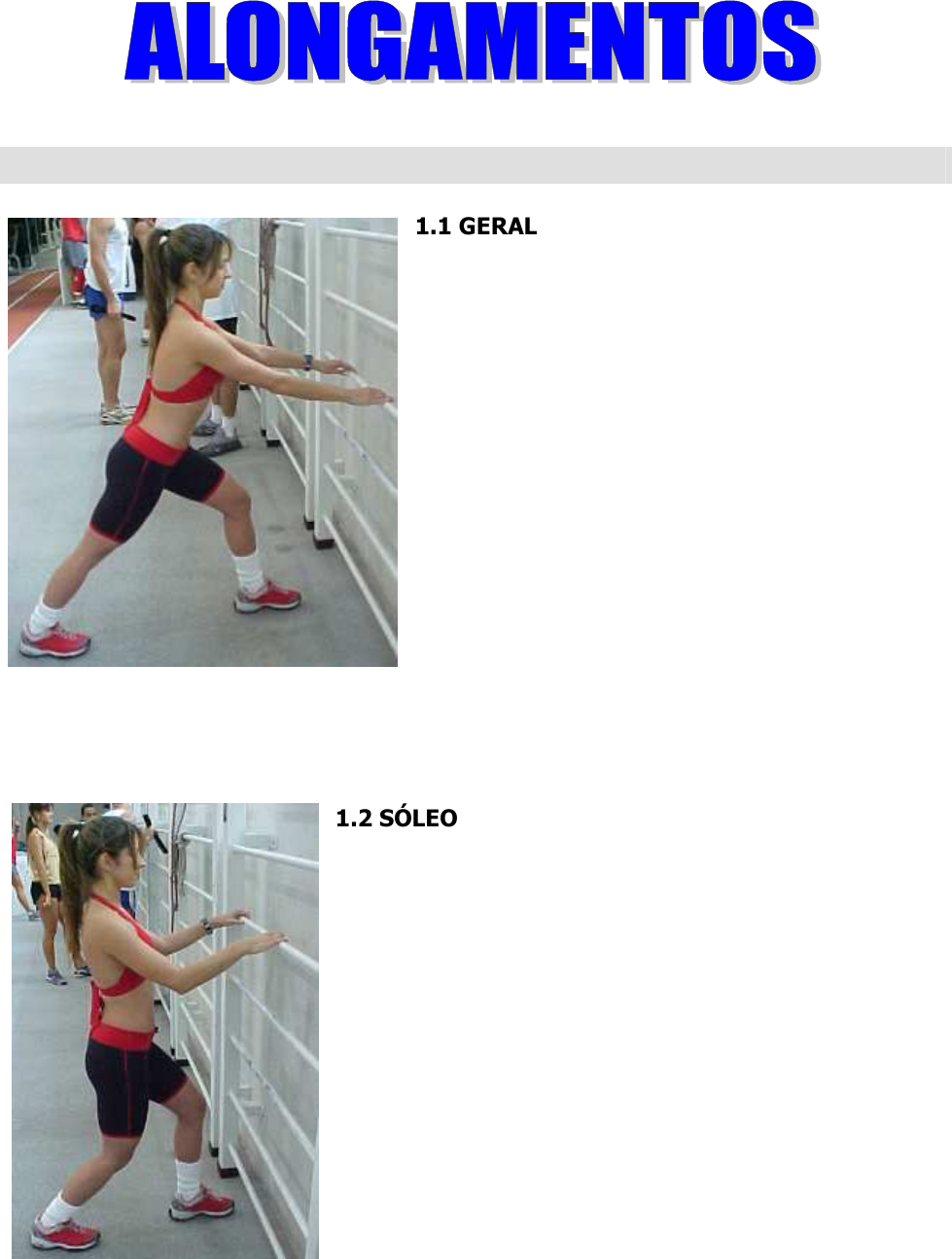 Apostila de Alongamentos - Educação Física