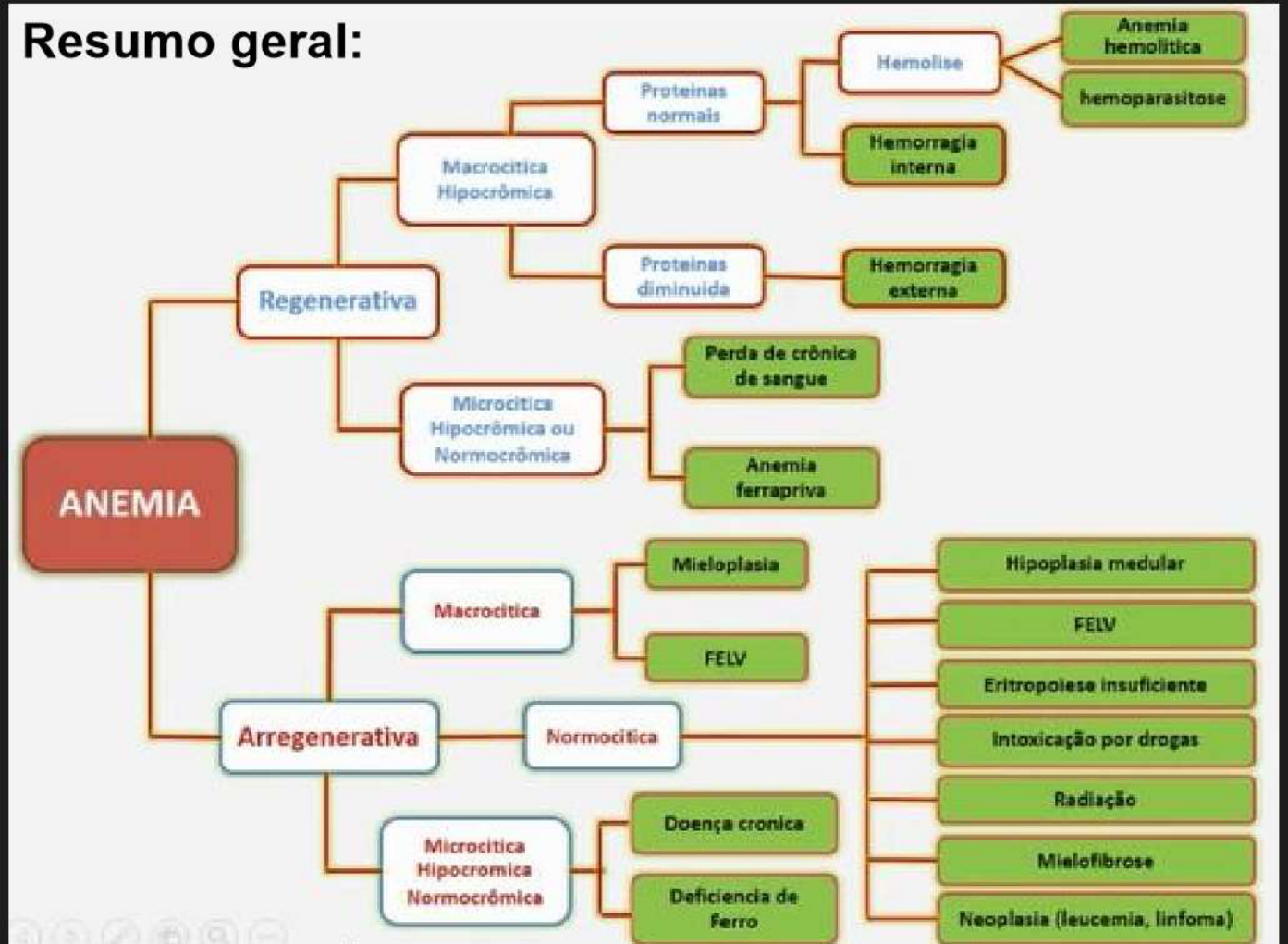 Anemia Regenerativa E Arregenerativa - RETOEDU