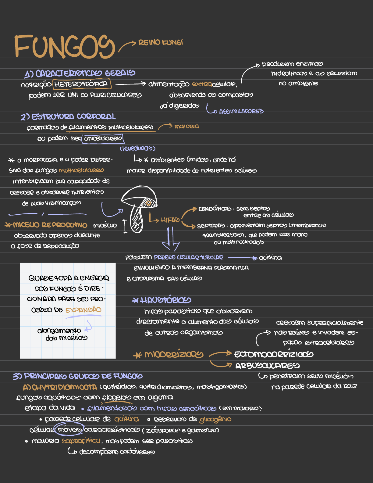 Reino Fungi - Biologia