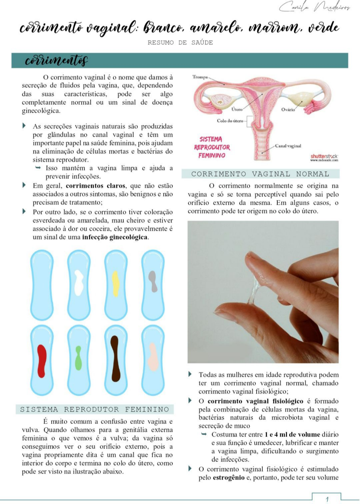 Corrimento Vaginal Normal Vs Nao Normal 384x480