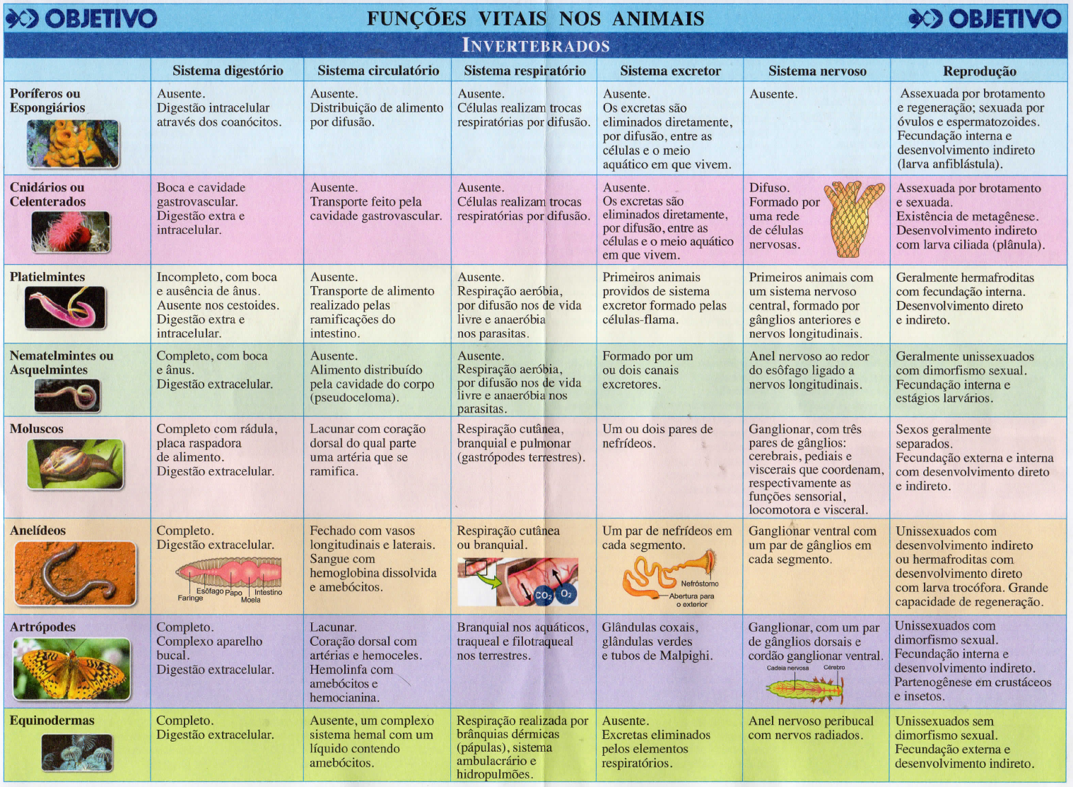 Tabela de Biologia Fisiologia Comparada - Biologia