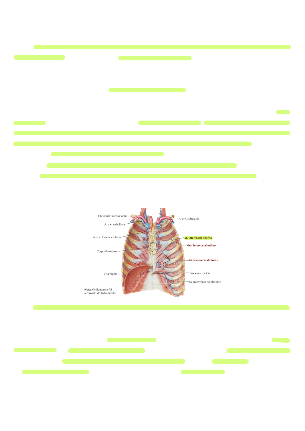 Etapas Do Procedimento De Toracocentese