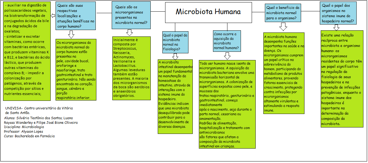 Mapa Conceitual Microbiota - Microbiologia
