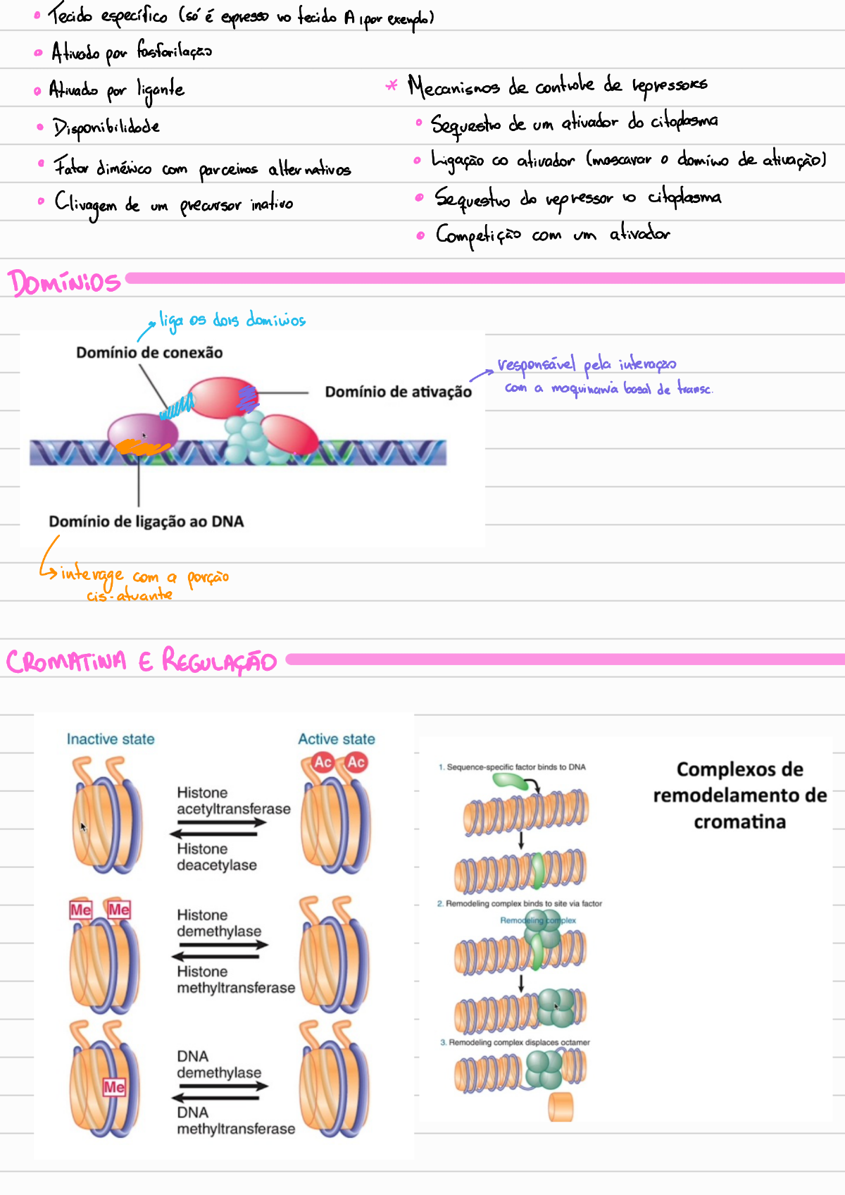 O Que é A Expressão Gênica - FDPLEARN