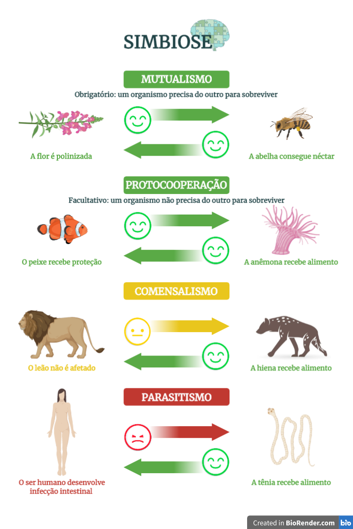 Ilustração - Simbiose - Processos Biológicos