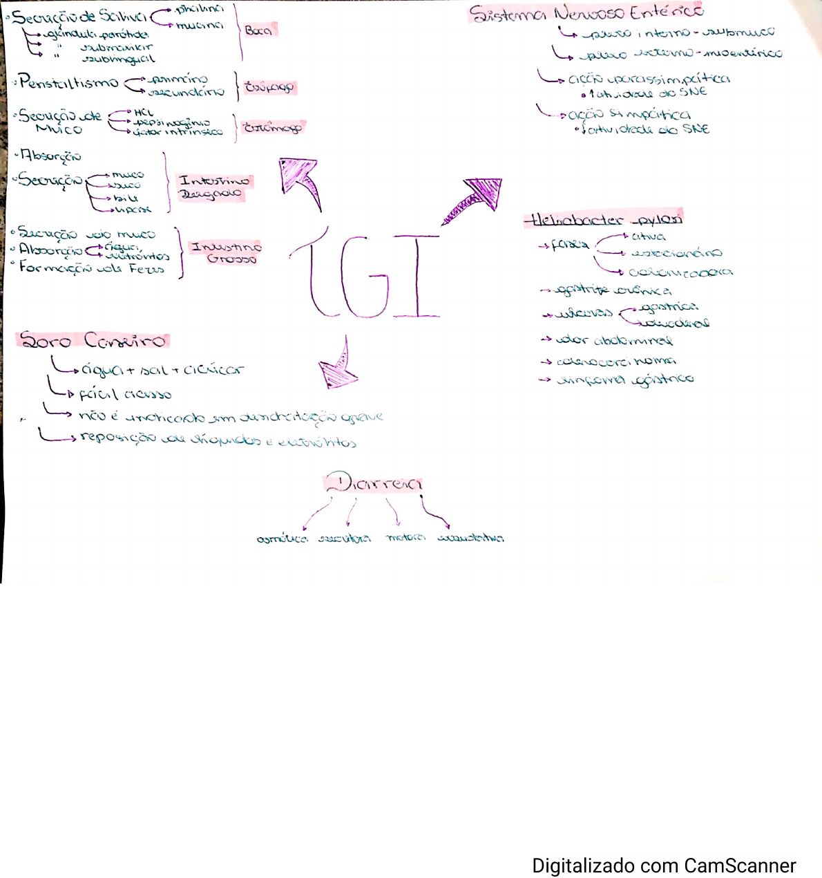 Mapa Mental- TGI - Saúde Coletiva