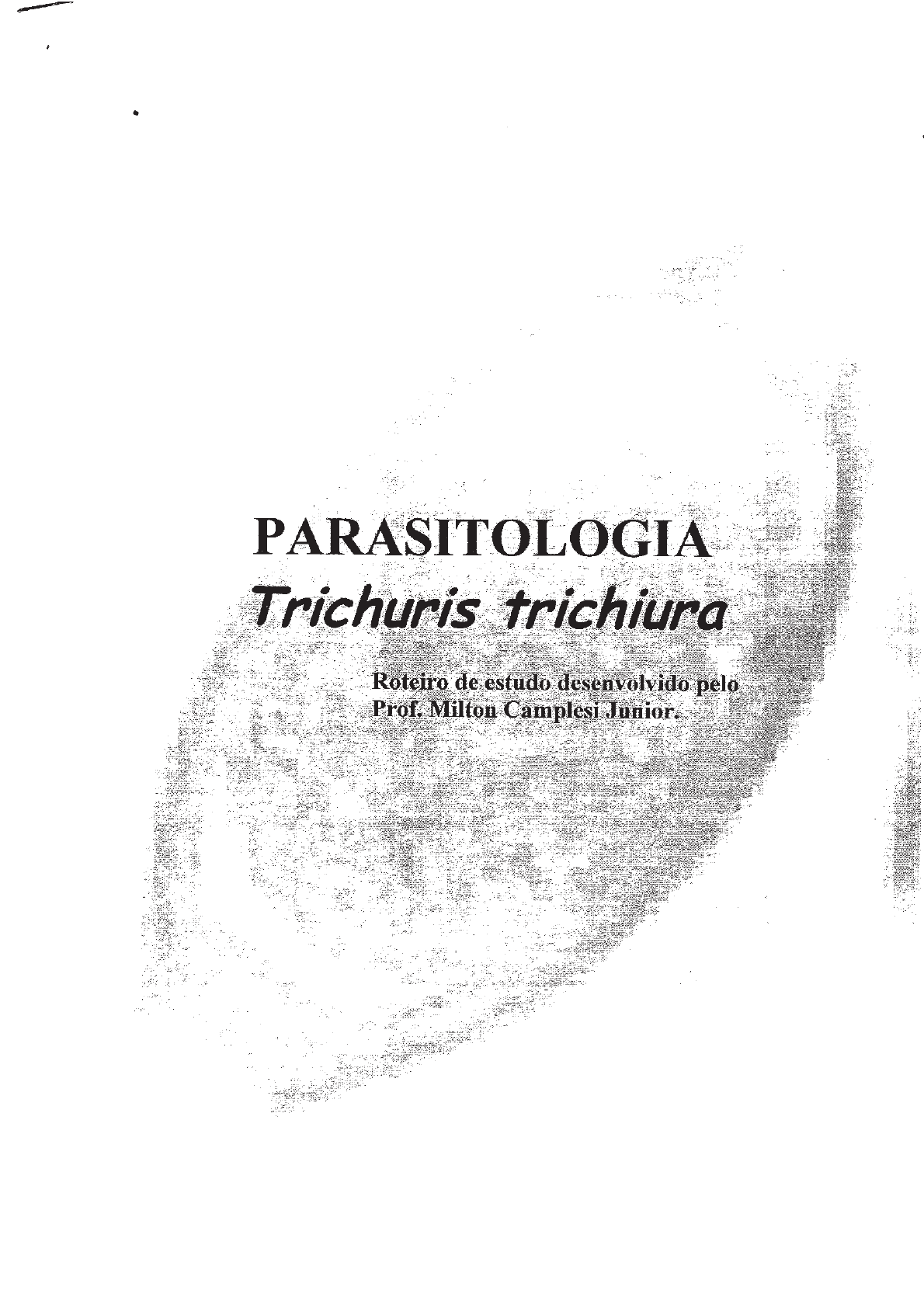 PARASITOLOGIA TRICHURIS TRICHIURA - Parasitologia
