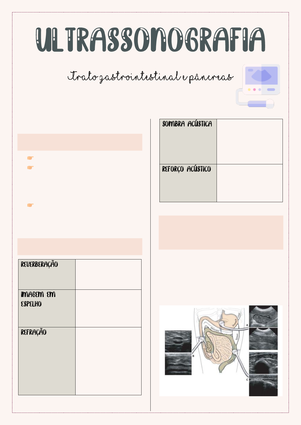 Ultrassonografia Anatomia Do Pancreas EUS Of The Normal Pancreas