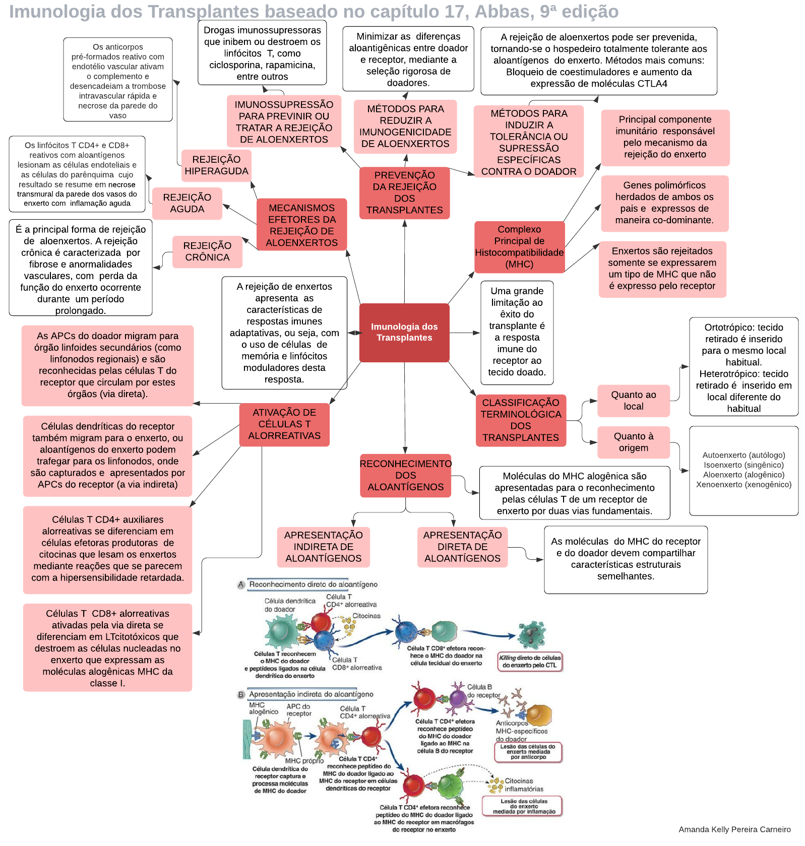 Mapas Mentais sobre HEMATOLOGIA - Study Maps - equaco.com