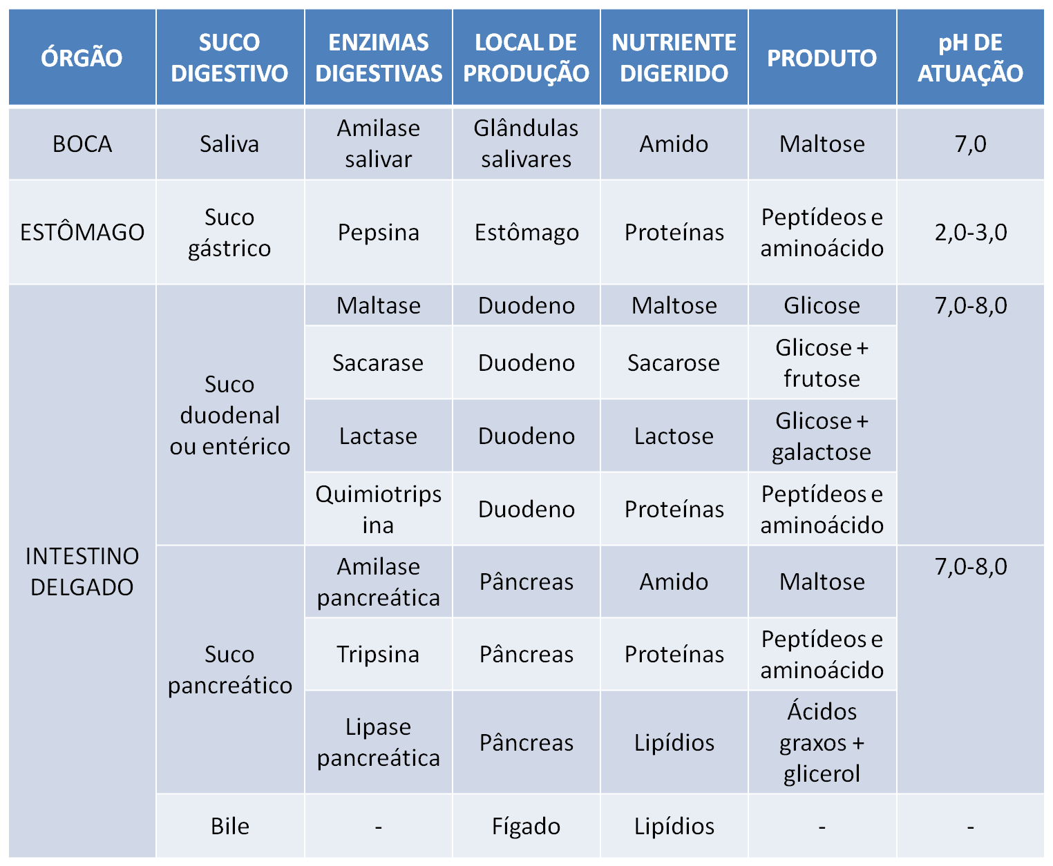 Fisiologia da digestão - Biologia
