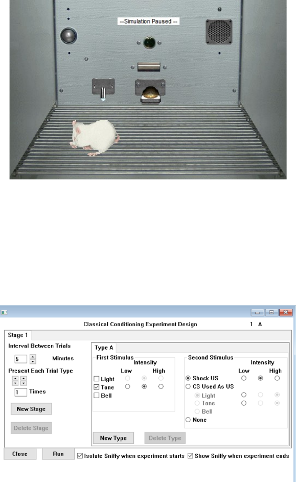 Grátis: Relatório de Análise do Experimento com o Sniffy Pro 3.0 ...