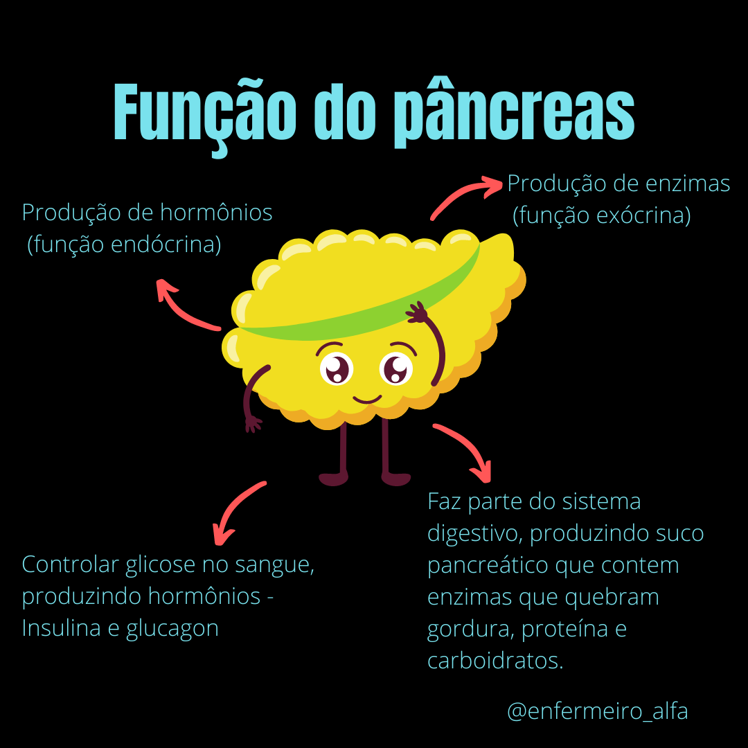 Função do pâncreas - Anatomia Sistêmica