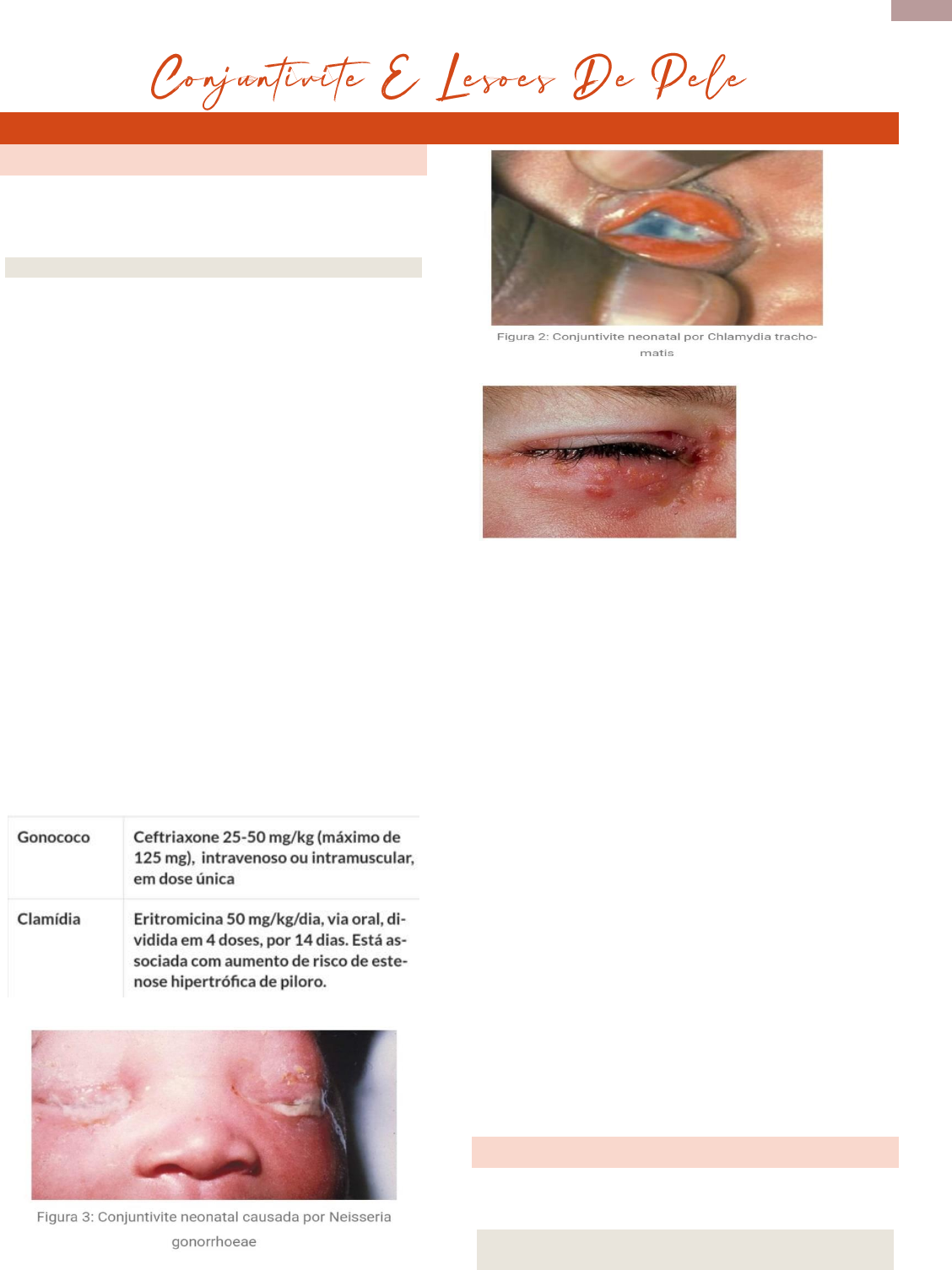 Conjuntivite Neonatal Papo De Mãe · Crianças Com Conjuntivite Podem