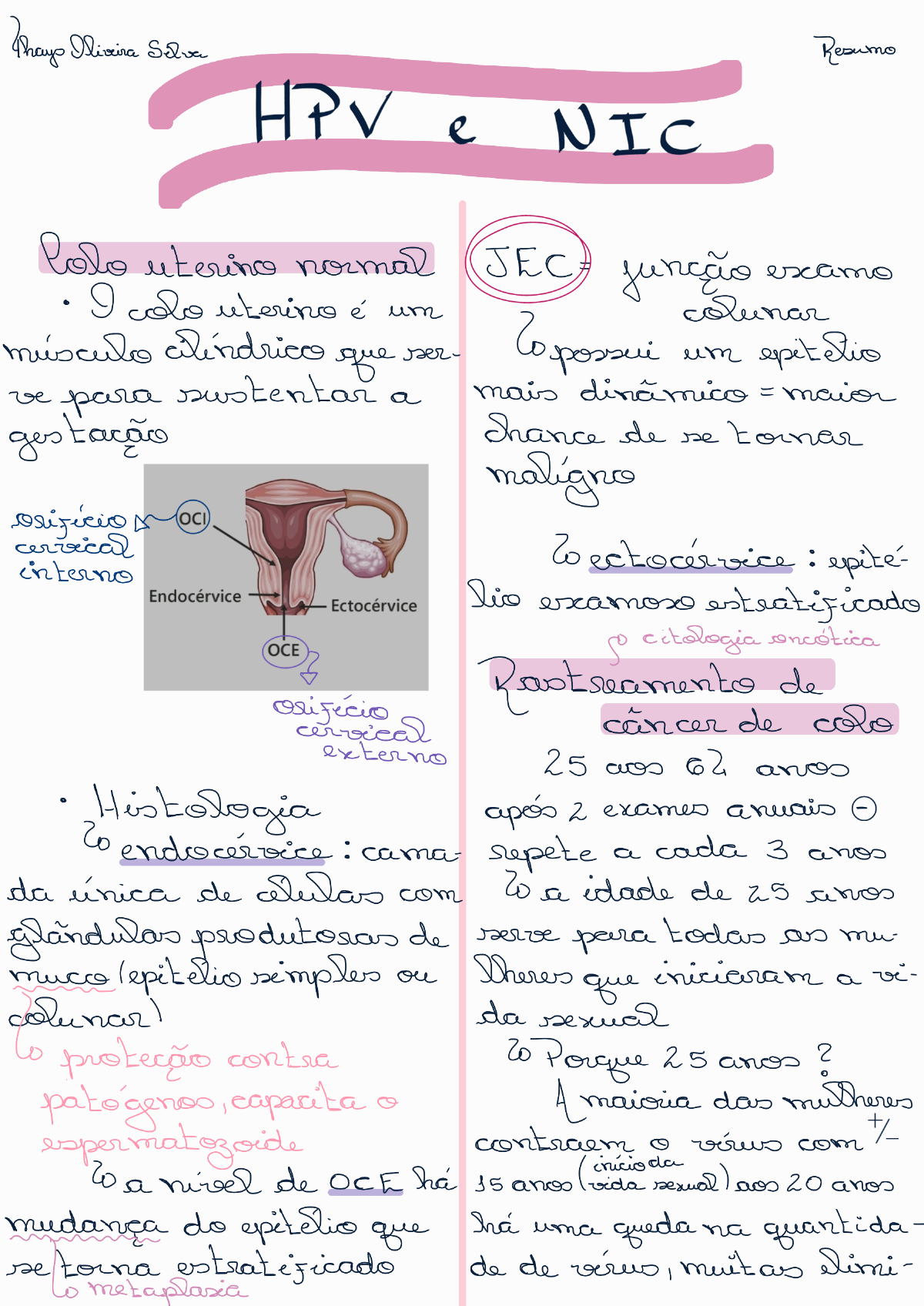 HPV e NIC - Ginecologia