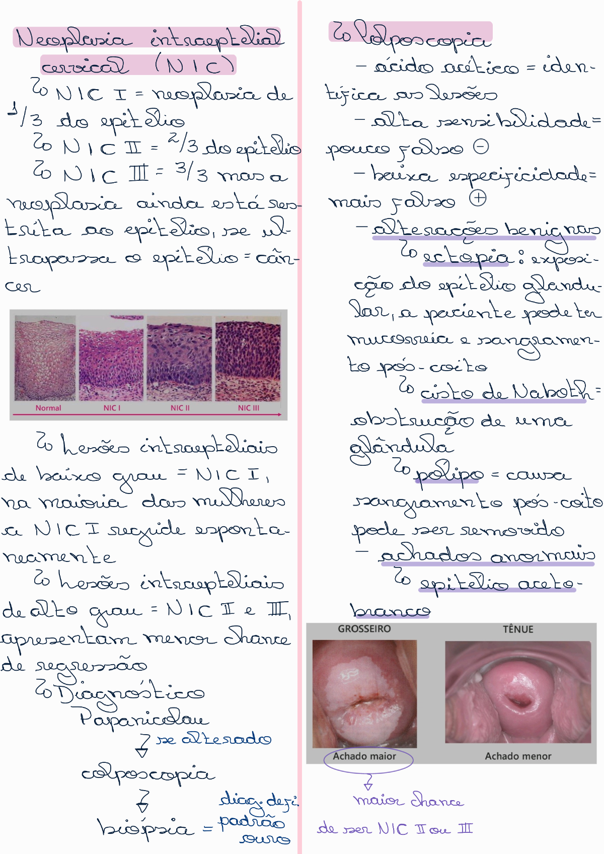 HPV e NIC - Ginecologia