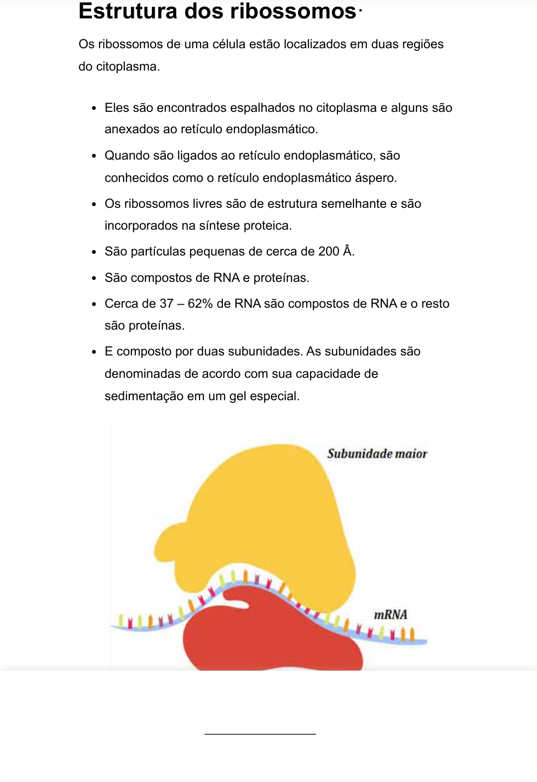 Estrutura Dos Ribossomos