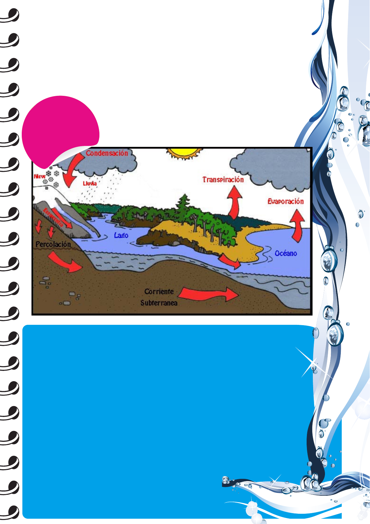 Percolación Del Ciclo Del Agua