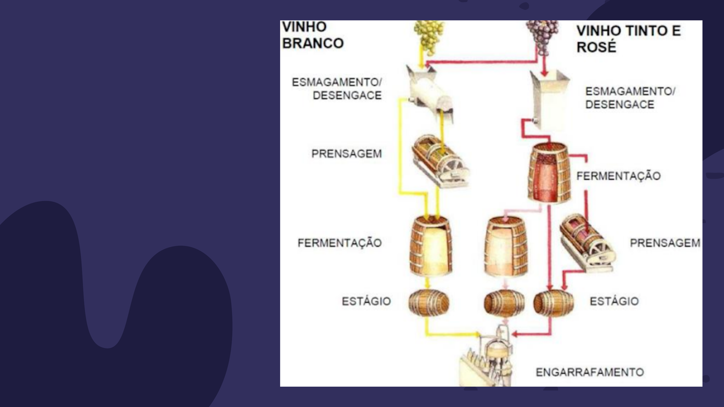 Processo De Fermentacao Do Vinho Como Funciona A Fermentação Do