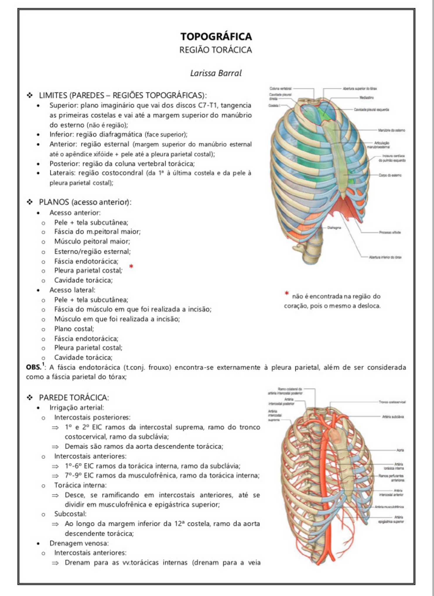tórax anatomia - Anatomia I
