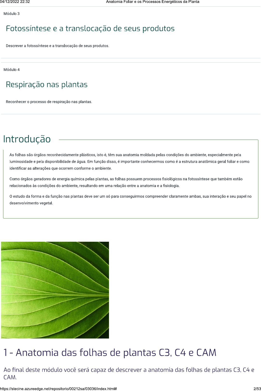 Anatomia e Fisiologia Vegetal - Anatomia Foliar e os processos ...