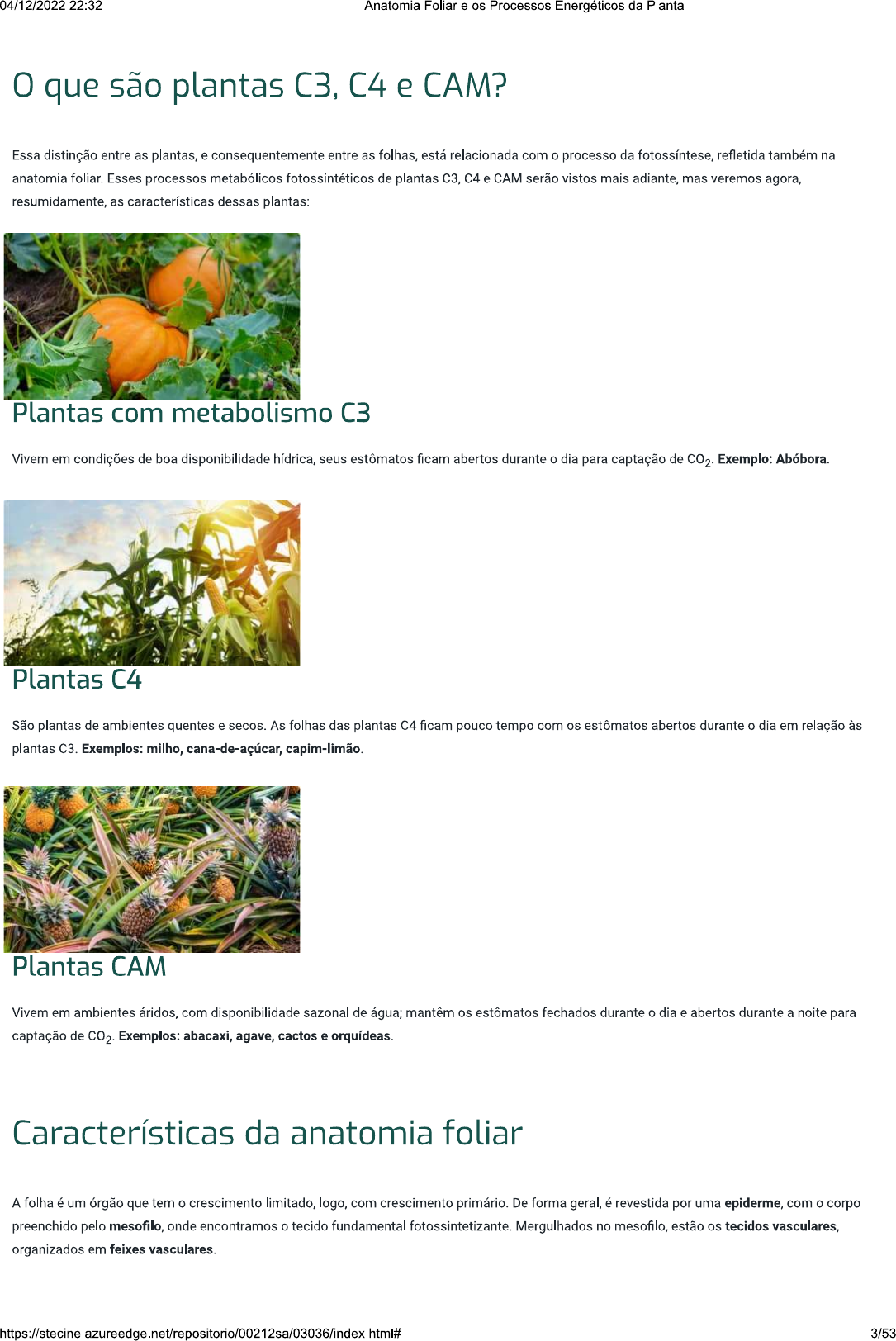 Anatomia e Fisiologia Vegetal - Anatomia Foliar e os processos ...