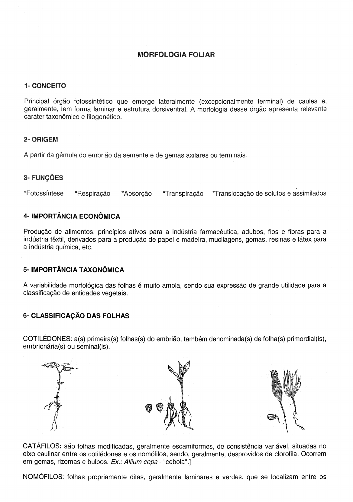 Morfologia foliar: classificação, partes da folha (nomófilos), nervação ...