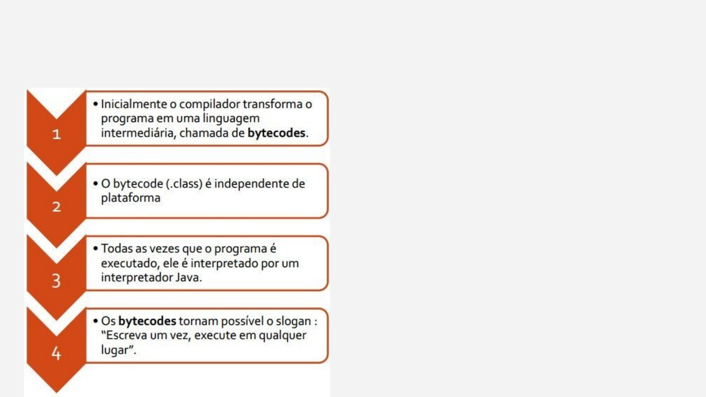 Aula 2 Introducao ao Java Basico - Programação I